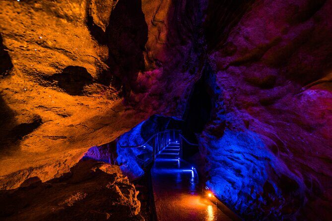 Waitomo Glowworm & Ruakuri Twin Cave - Private Tour From Auckland - Who Would Love This Tour?