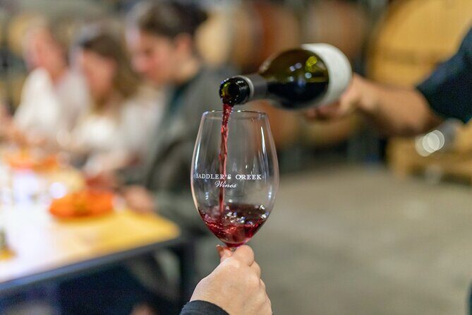 Wallabies and Wine Hunter Valley Adventure Private Tour - Practical Insights and Traveler Considerations