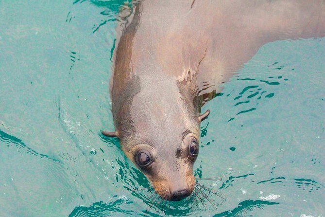 Wilsons Promontory Full Day Cruise - Why Reviewers Love It