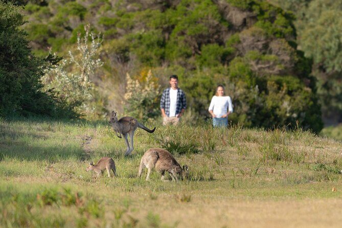 Wilsons Promontory Wilderness Day Tour - Norman Beach: A Classic Australian Beach
