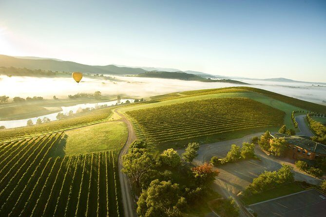 Yarra Valley Wine Day Tour - What’s the Value?