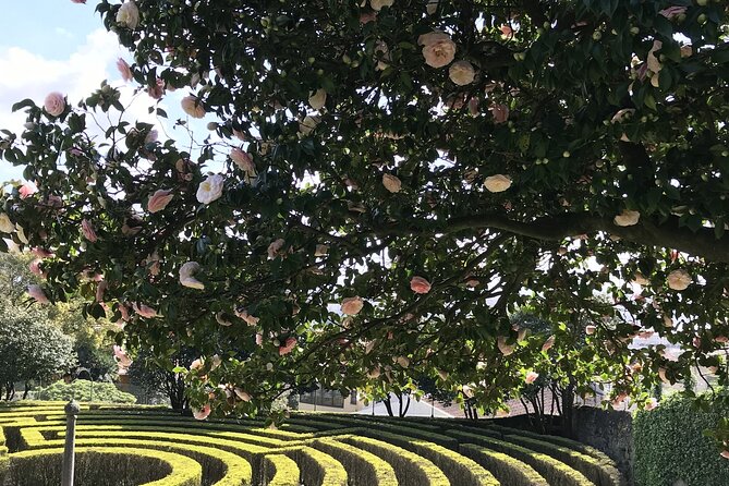 Admission Ticket to Casa São Roque Art Center - The Itinerary: What to Expect