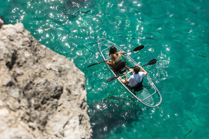 Arrábida: Guided Transparent Kayaking Tour - What to Expect on the Tour