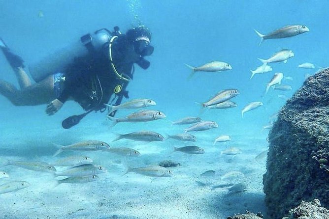 Beginner Scuba Diving Adventure with Videos in Honolulu - What to Expect: A Step-by-Step Overview