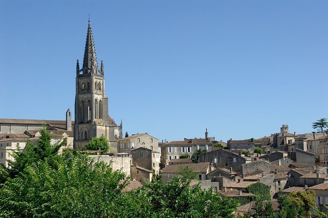 Bordeaux Full Day Wine Tour - 3 Wineries & Gourmet Picnic Lunch - A Deep Dive into the Bordeaux Full-Day Wine Tour Experience