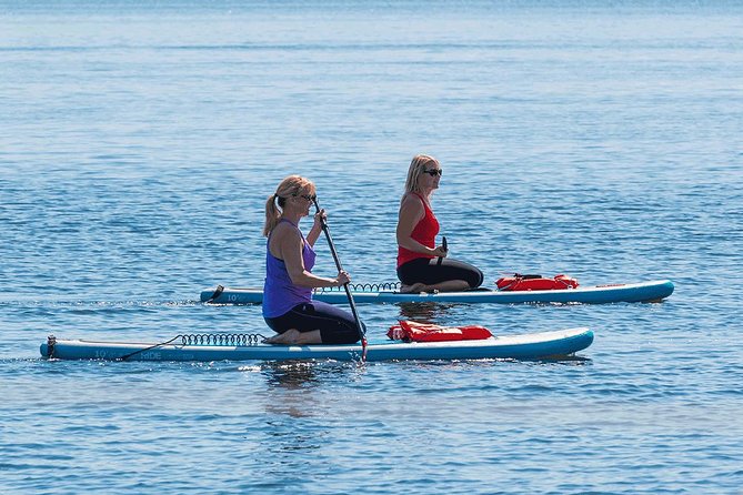 Dolphin and Manatee Stand Up Paddleboard Tour in Daytona Beach - What to Expect from the Paddleboard Tour