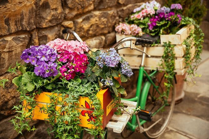 Family Friendly Florence Private City Tour - What’s Included and What to Expect