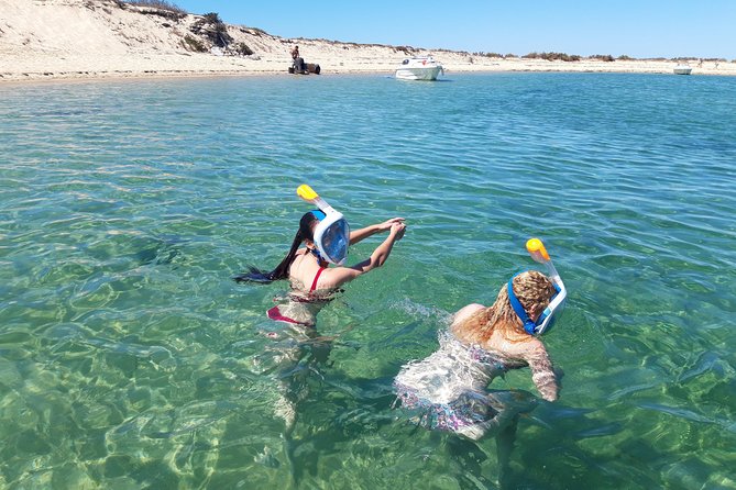 Faro - Ria Formosa tour with visit to 2 islands (Deserta, Farol) 3.5 hours - Why This Tour Matters: A Honest Look