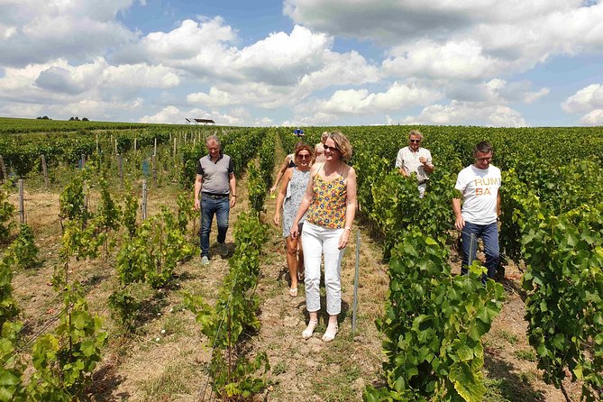 Gourmet walk in the heart of the vineyards with Champagne tasting near Epernay - Key Points