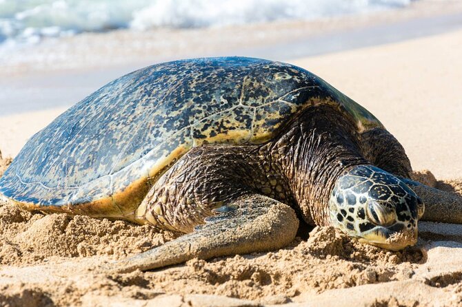 Grand Tour Around Island 16 Locations plus Snorkeling - An In-Depth Look at the Tour Experience