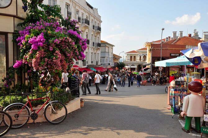 Istanbul Princes Island Tour with Lunch & Hotel Transfer - What to Expect from the Itinerary