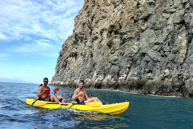 Kayak with Dolphin & Turtle Watching Private Tour - What to Expect on Your Tenerife Kayak Adventure