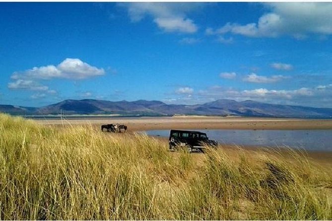Killarney National Park Horseback Ride. Co Kerry. Guided. 2 hours. - What to Expect from the Killarney National Park Horseback Ride