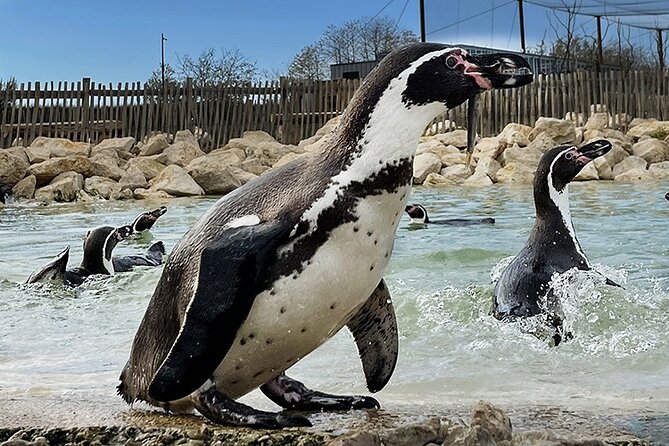 Parrot World Immersive Wildlife Park Entry Ticket next to Paris - What to Expect on Your Visit