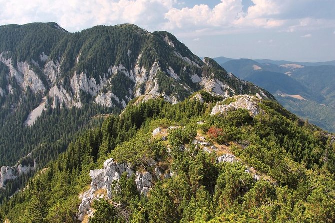 Piatra Craiului National Park Private Hiking Tour from Brasov - An Authentic Mountain Escape with a Local Touch