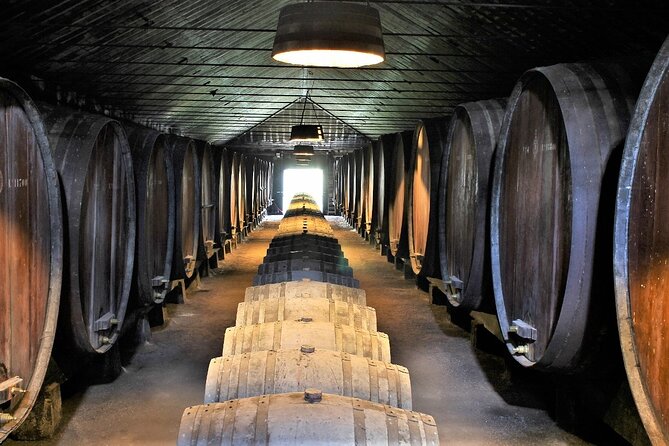 Private Wine Tasting in the Setúbal Wine Region, from Lisbon - Key Points