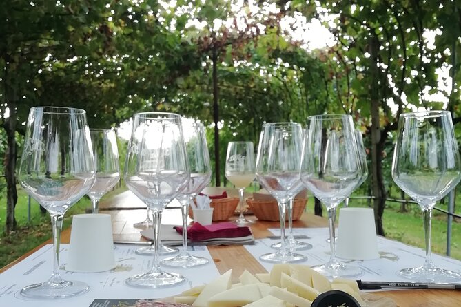 Prosecco - Wine tour & tasting - Full day in the Prosecco region - What Makes This Tour Stand Out?