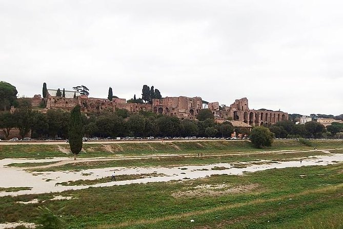 Rome's 12 Best Highlights Full Day Private Tour - What to Expect from the Tour Experience