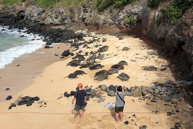 Small-Group Road to Hana Adventure Tour with Pickup & Lunch - The Itinerary: What You’ll Experience
