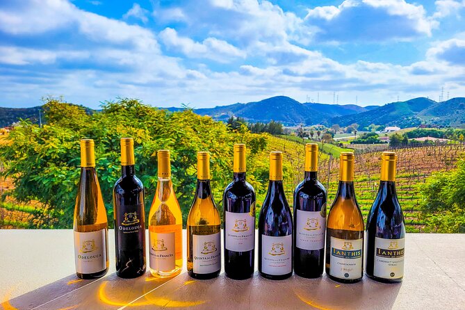 Small group Wine Tasting Tour from Lagos - An In-Depth Look at the Itinerary