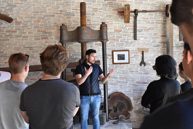The Governor's Olive Mill Tour with Olive Oil Tasting - An In-Depth Look at the Tour Experience
