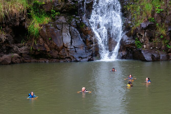 Tour of North Shore & Waimea Waterfall - Convenience and Comfort with Included Transport