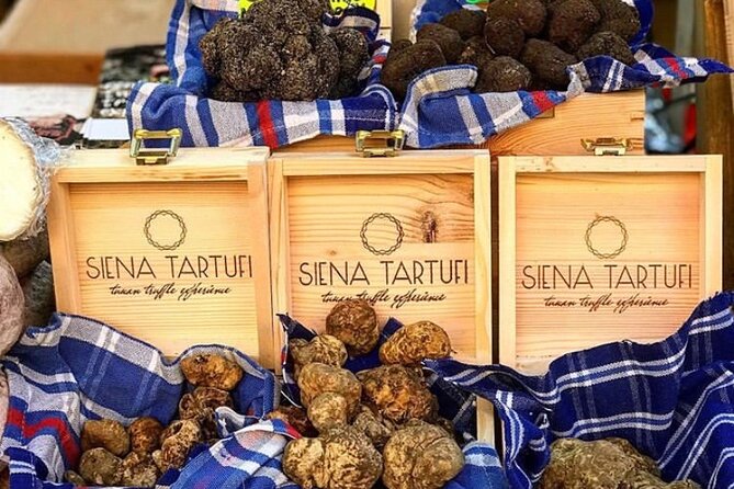 Truffle Hunting Experience Siena Tartufi - Key Points