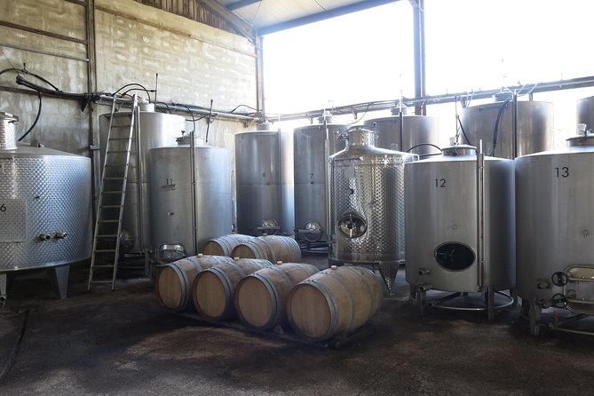 Vino Venture: Explore With A Local - Troodos Mountains thru Wine! - Exploring the Troodos Mountains: A Beautiful Backdrop