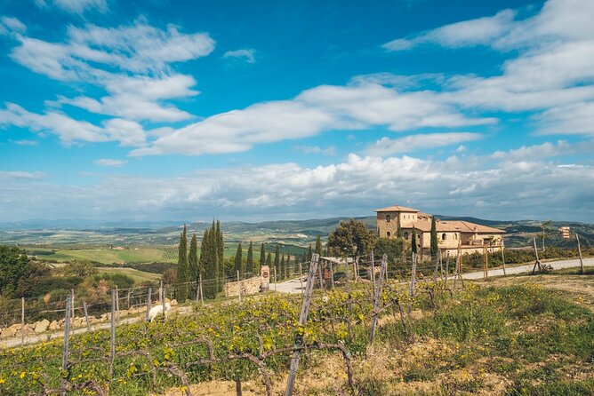Visit to the Cellar with Wine & Food Tasting over the Val d'Orcia - Is This Tour Right for You?