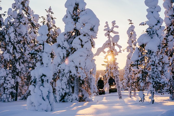 1-Hour Snowmobile Safari Experience