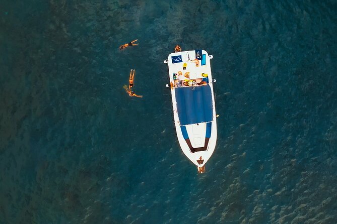 3-hour excursion to Puerto Colón Adeje to see whales