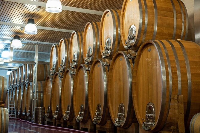 A delightful wine tasting in the scenic countryside with lunch