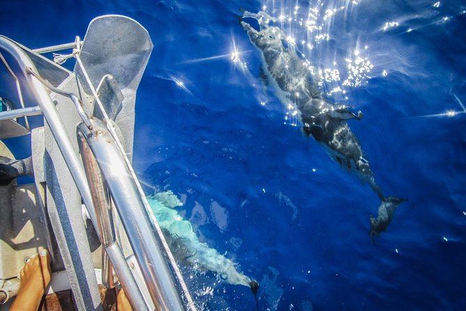 All inclusive day sailing tour from Naxos to the small cyclades