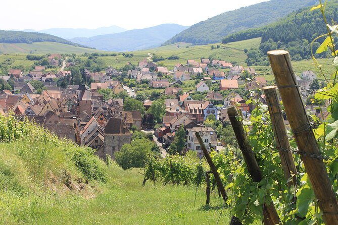 Alsace Wine Route Small Group Half-Day Tour with Tasting from Strasbourg