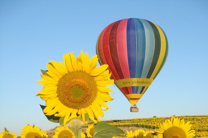 Balloon Rides in Segovia with Optional transportation from Madrid