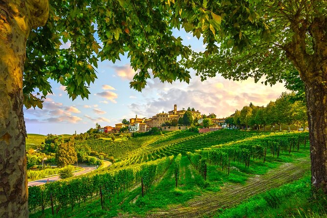 Barolo wine Tasting, Alba, UNESCO Castle: Small Group from Milan
