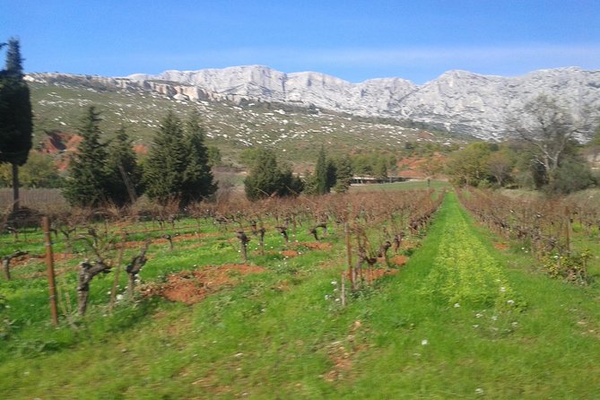 Cotes de Provence Wine Tour from Aix-en-Provence