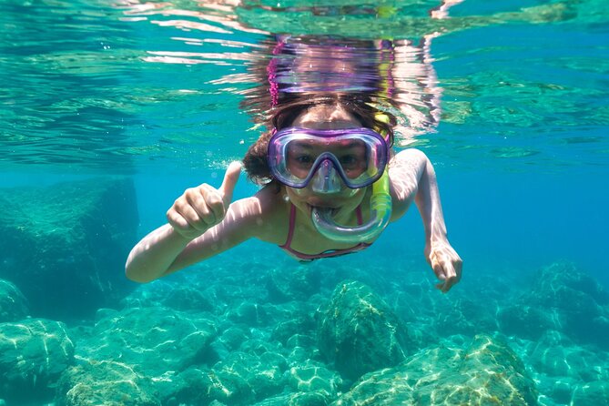 Dolphin Watching and Snorkeling in Figarolo in Sardinia