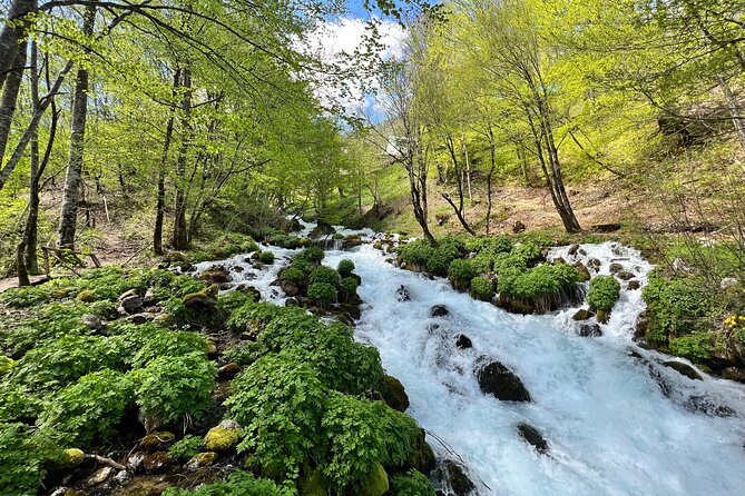 Durmitor - Black Lake & Tara River Canyon - North Montenegro tour