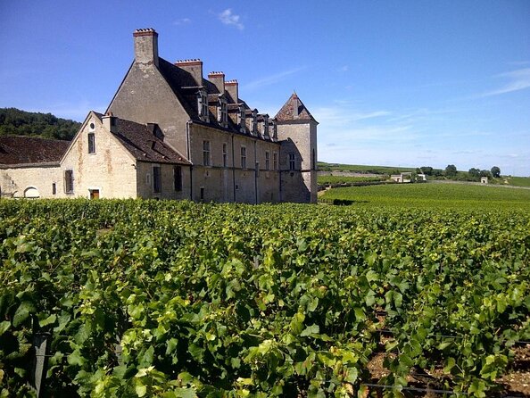 Full-Day Private Tour, 6 Premiers & Grands Crus, The Best of Burgundy