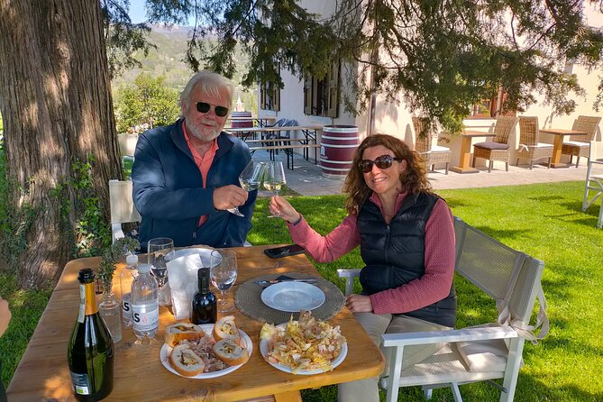 Full Day Prosecco Wine Tasting at Two Wineries from Venice