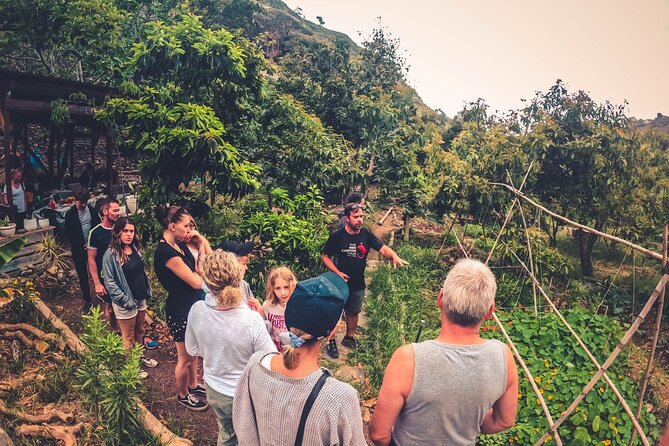 Full Day Rainforest Tour with Tasting and Swimming Time