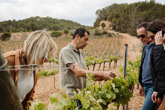 Full-Day Trip Barcelona to Montserrat Monastery & Cava Winery