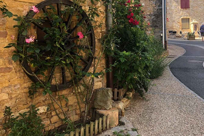 Golden stones Beaujolais Wine Tour with Tastings from Lyon