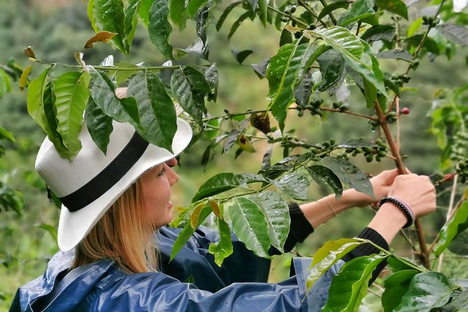 Guatape rock & coffee tour & picturesque town: private tour who should consider this tour?