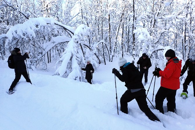 Guided Snowshoe Walk on Tromsoya Island in Tromso