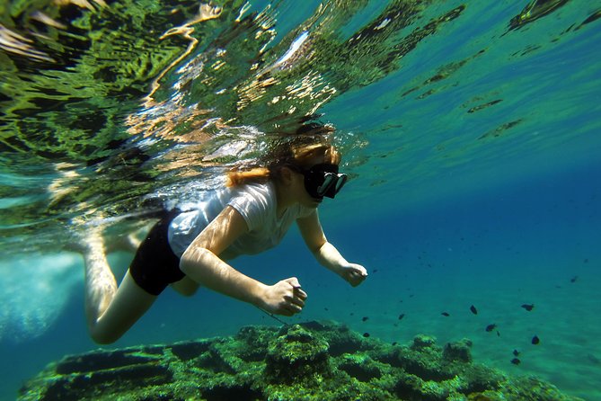 Kayaking and Snorkeling in Omi