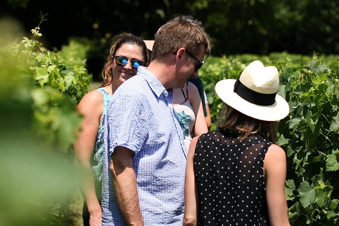 Loire Valley Half Day Wine Tour from Tours : Vouvray Wine Tasting