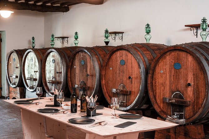 Lucca: Wine Tasting Experience - Tenuta Adamo Winery