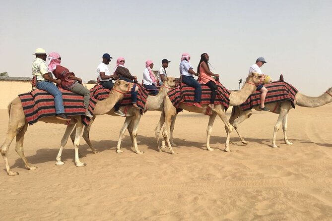 Morning red dunes with camel ride, sandboarding and refreshments the sum up: is this tour worth your time?